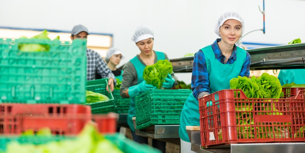 Careers | The Clean Food Company
